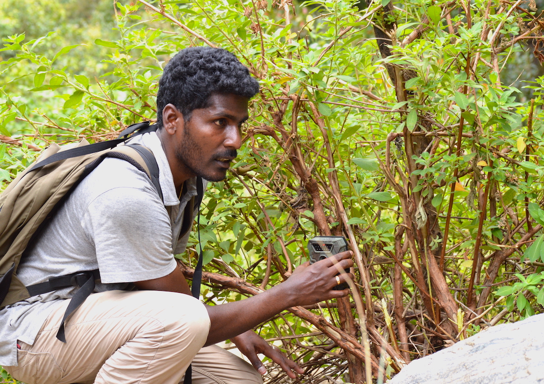 Meet The BNHS Scientist Studying The Secret Lives Of Otters In India ...