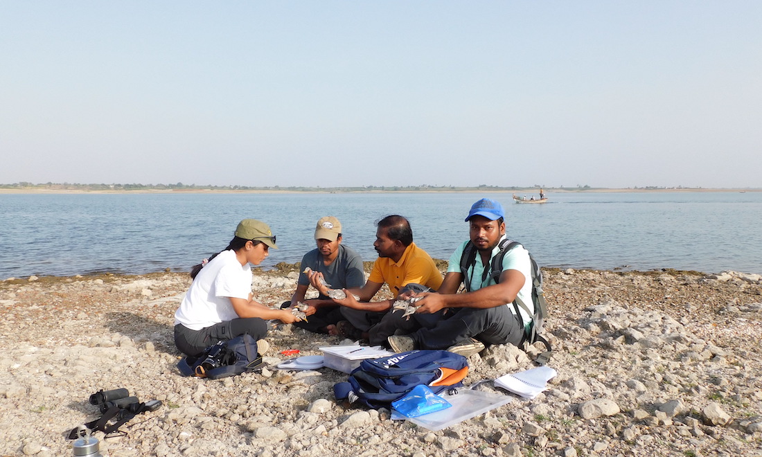 Meet The BNHS Scientist Helping Protect India’s Wetlands And Migratory ...