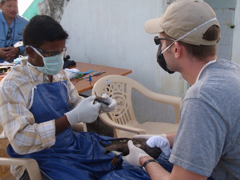 Meet The BNHS Scientist Helping Protect India’s Wetlands And Migratory ...