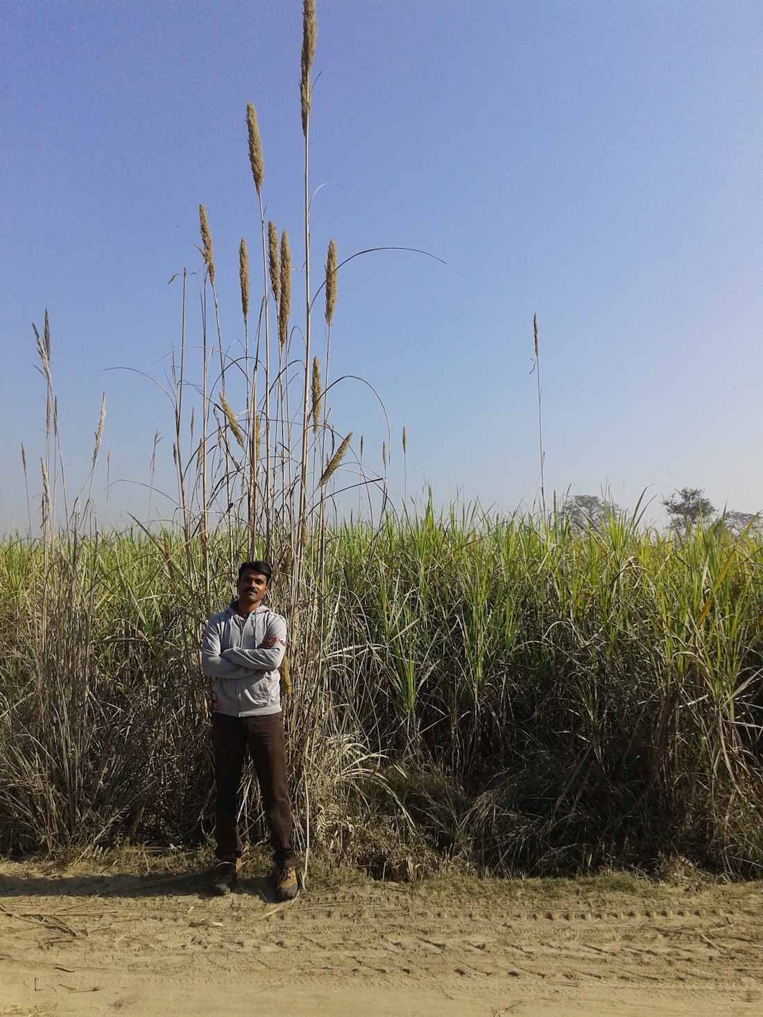 Meet The BNHS Scientist Spearheading The Conservation Of India’s Three ...
