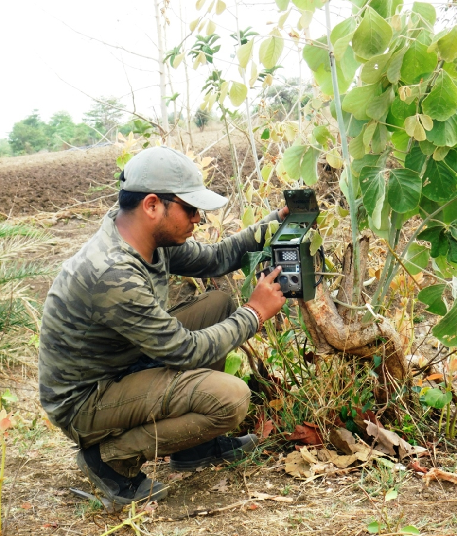 From Buffer to Backbone: Meet the BNHS Central India Team – BNHS Blog
